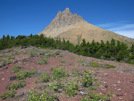 Mount Galwey III