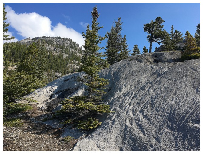 Windy Point Ridge and The Buckle